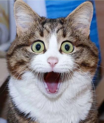 Regan Barr's Profile Pictures » #WalkAway Social