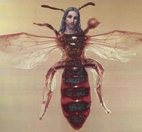 Yvette Nary's Profile Pictures » #WalkAway Social