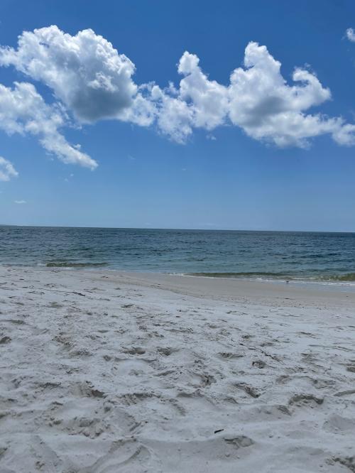 Melissa Gerber's Cover Photos » #WalkAway Social