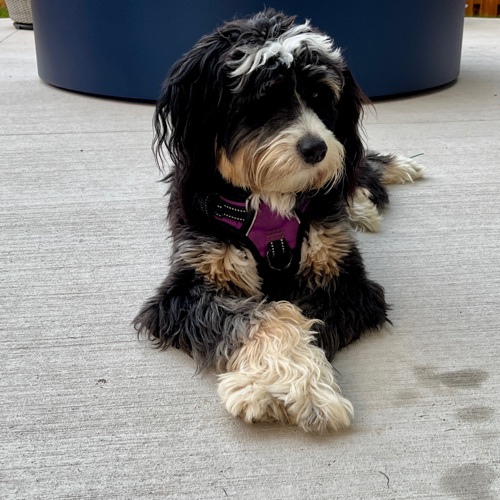 Debbie Kimble's Profile Pictures » #WalkAway Social